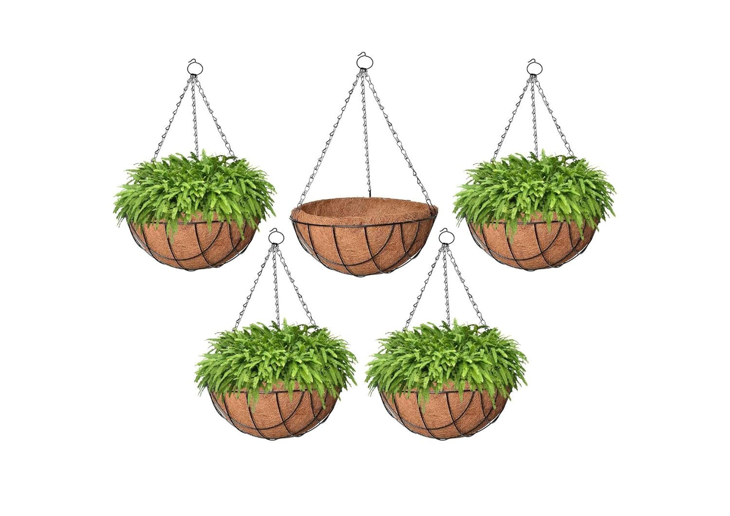 Coir Hanging Basket Liners at Randy Thiessen blog