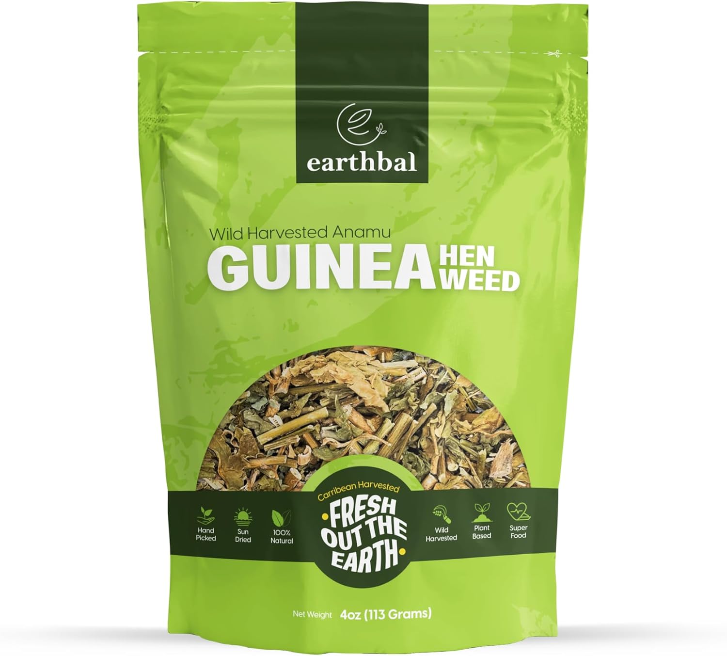 Amazon.com: Earthbal Wildharvested Guinea Hen Weed (Anamu Herb) Leaves ...
