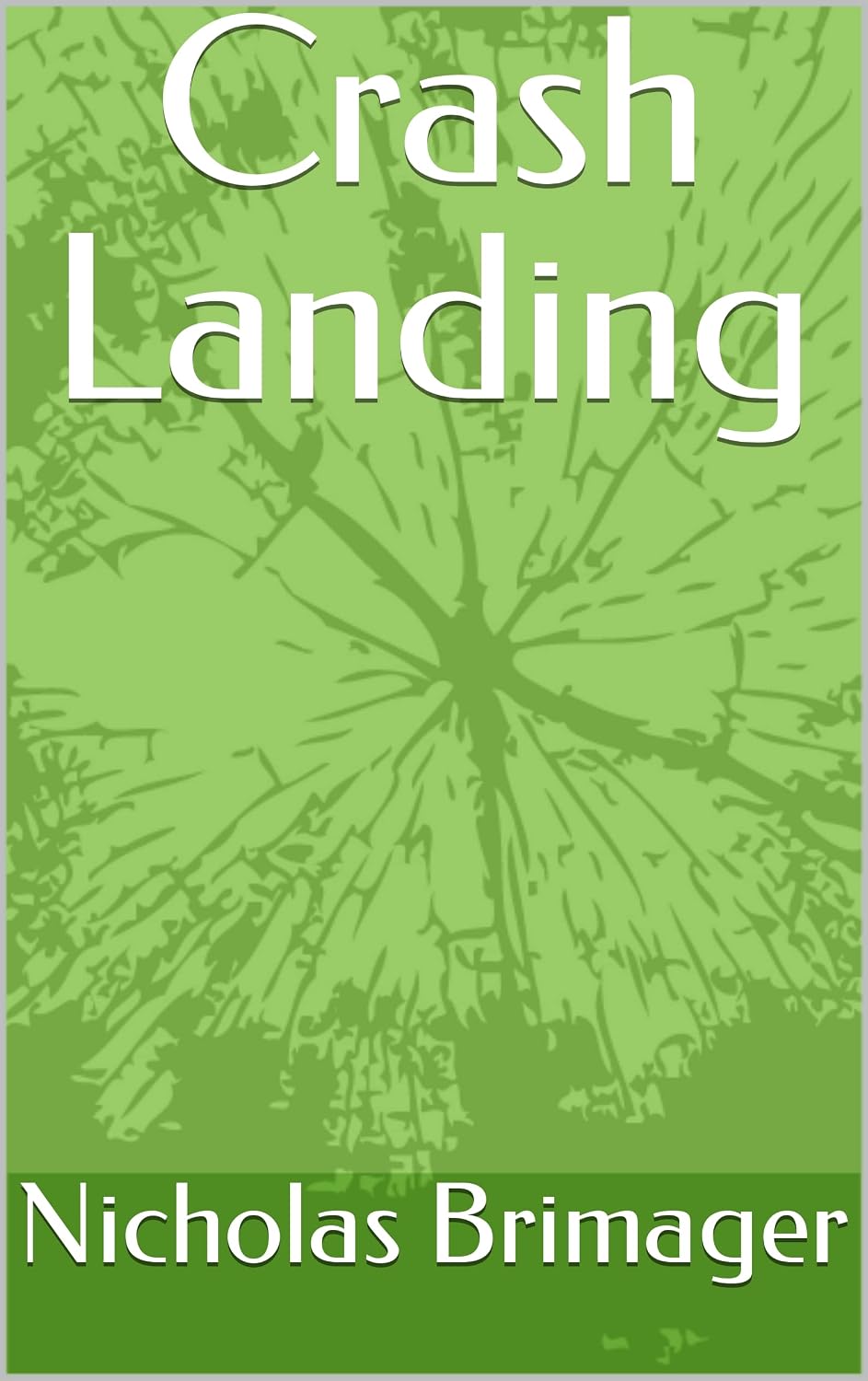 Crash Landing eBook : Brimager, Nicholas : Amazon.in: Kindle Store
