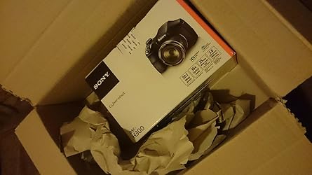 SONY DSC-H300 - nero - Fotocamera digitale : Amazon.it: Elettronica