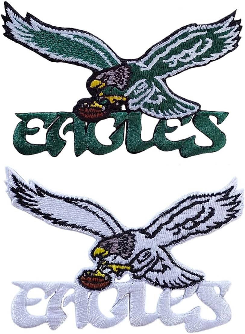 Amazon.com: Bald Eagle Landing Embroidered Iron on Patch