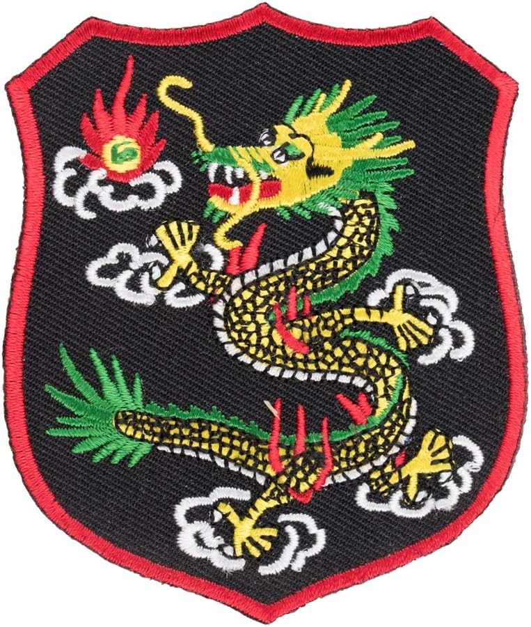 Amazon.com: Chinese Dragon Shield Patch, Chinese Dragon Patches ...