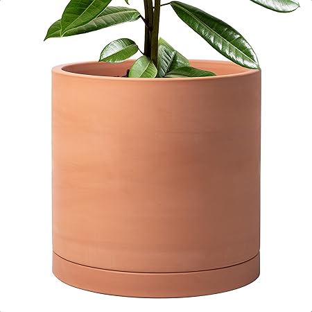 Amazon.com : X-Large 12 Inch Terracotta Plant Pot with Drainage Hole ...