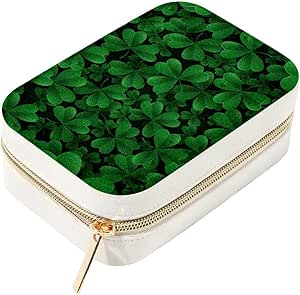 Amazon.com: Double Layer Portable Travel Mini Jewelry Case Display ...