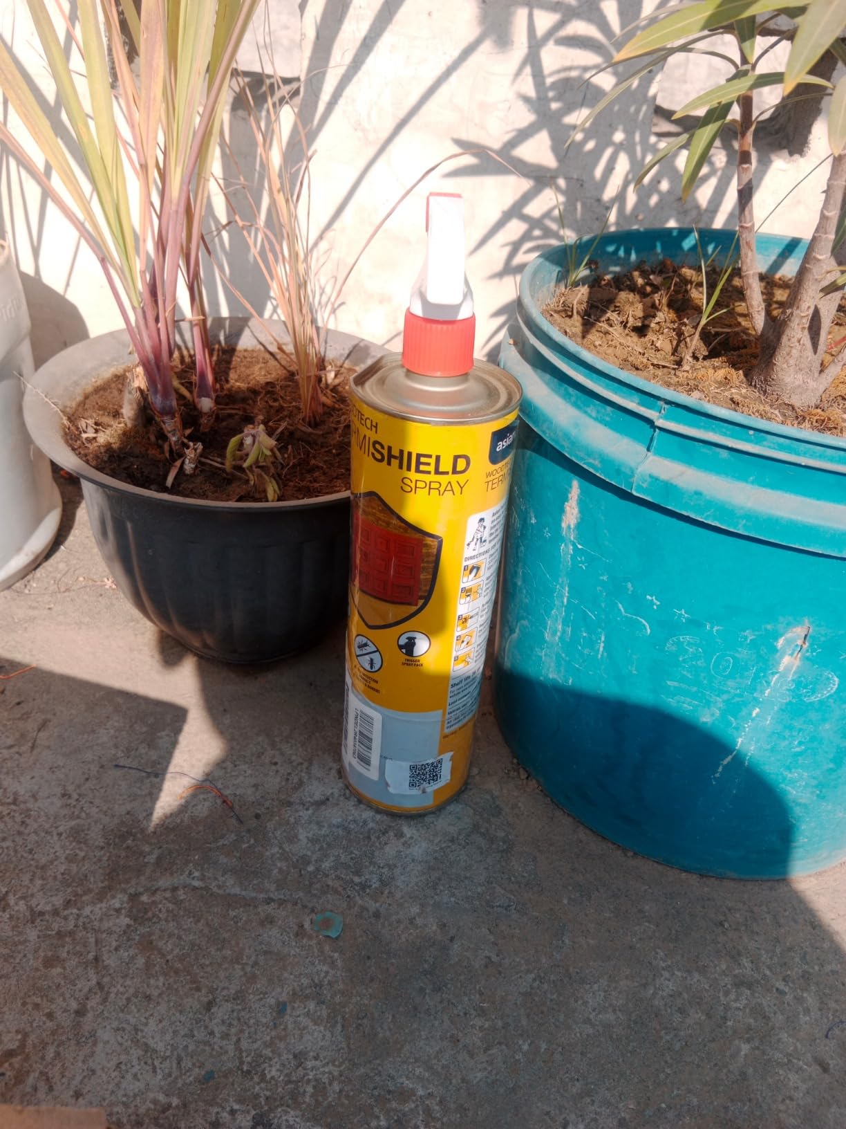 Asian Paints Woodtech Termishield Spray, DIY Termite Killer Spray for ...