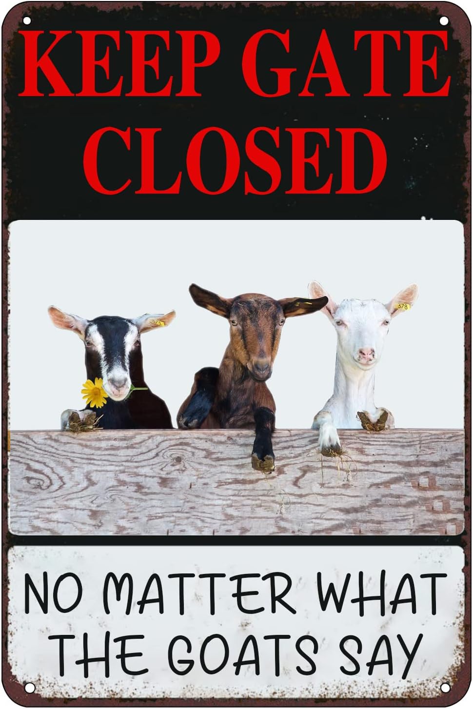 Amazon.com: Keep Gate Closed No Matter What the Goats Say Funny Ranch ...