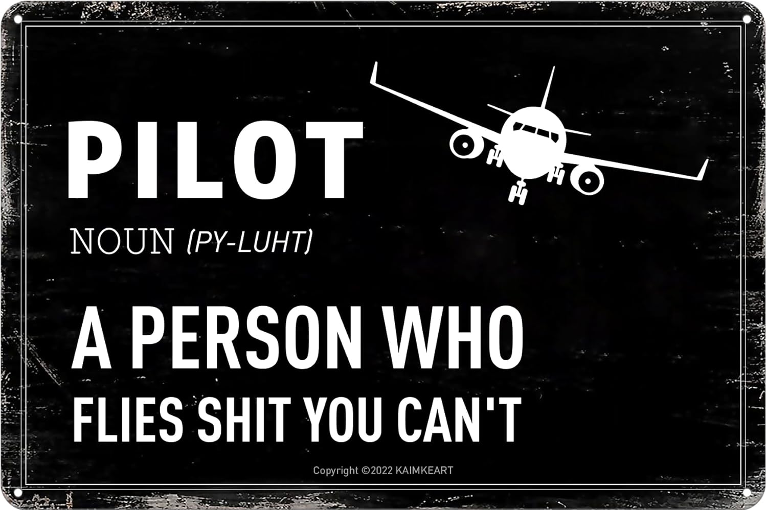 Amazon.com: Pilot Definition Vintage Airplane Metal Sign - Funny ...