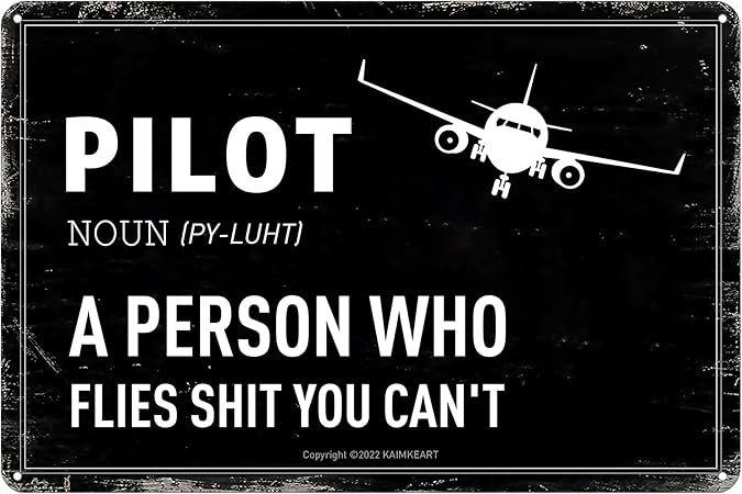 Amazon.com: Pilot Definition Vintage Airplane Metal Sign - Funny ...