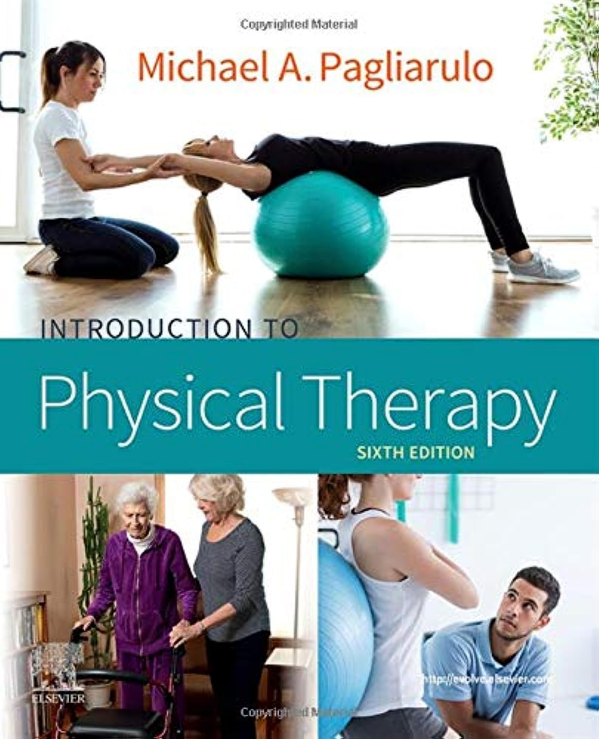 Introduction to Physical Therapy: 9780323673488: Medicine & Health ...