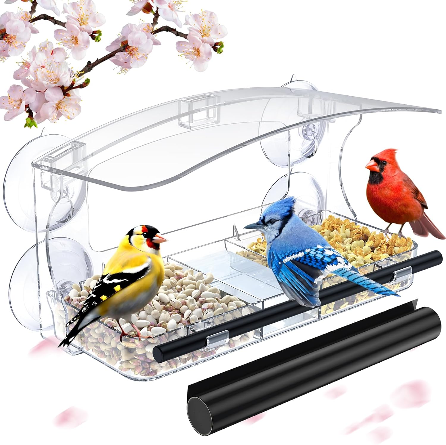 Amazon.com : MrCrafts Window Bird Feeder with Strong Suction Cups ...