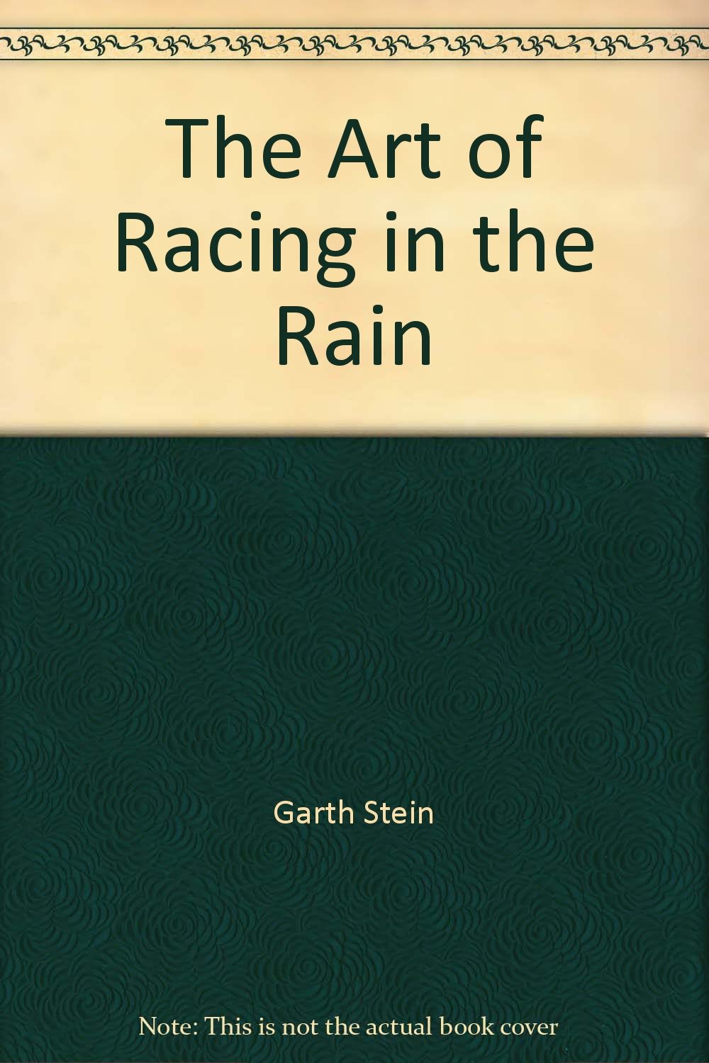 Amazon.com: The Art of Racing in the Rain: 9780062021496: Stein, Garth ...
