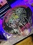Amazon.com: Monster High CD Boombox (56049) : Electronics