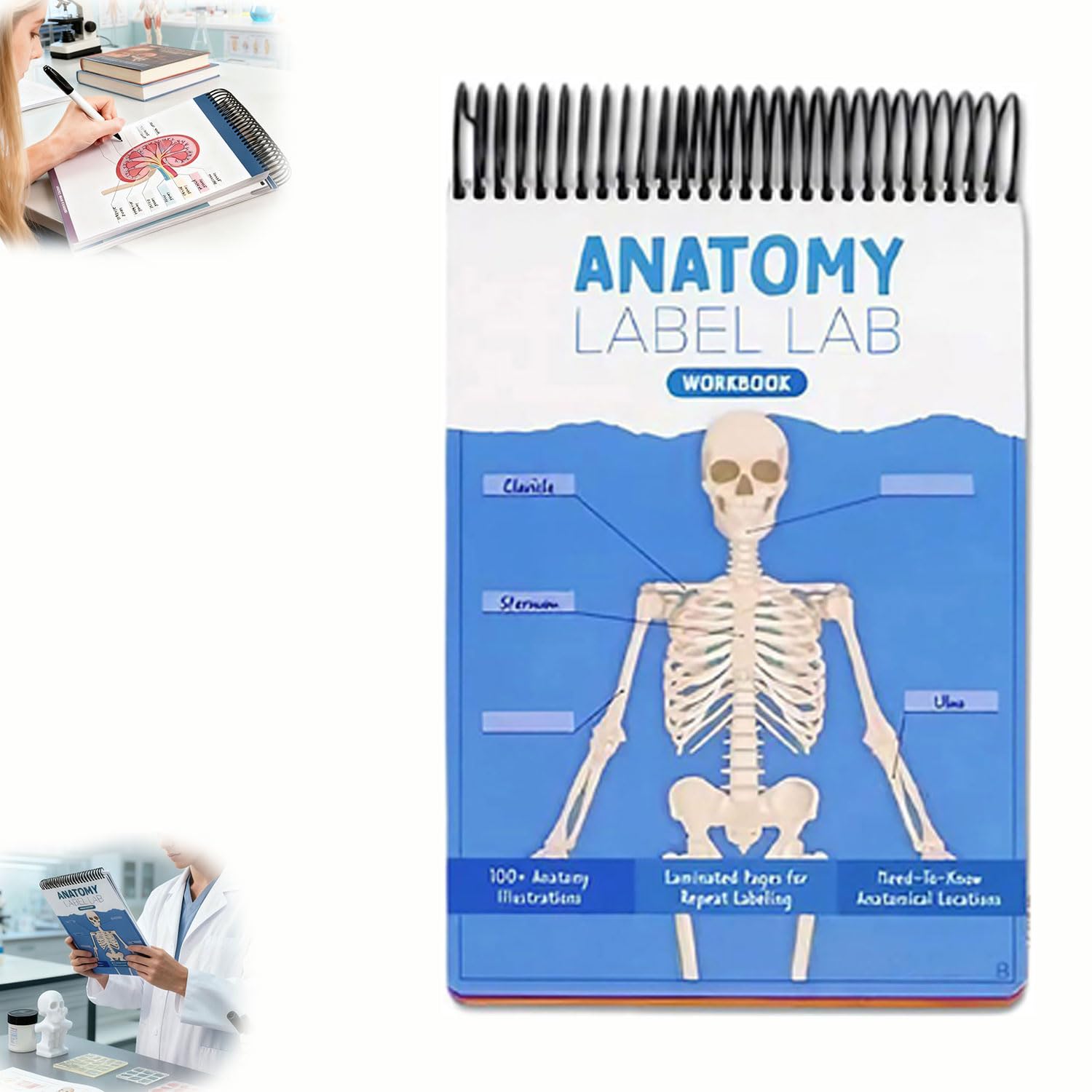 Anatomy Medical Students Label Lab Erase School 100 Study Full Color ...