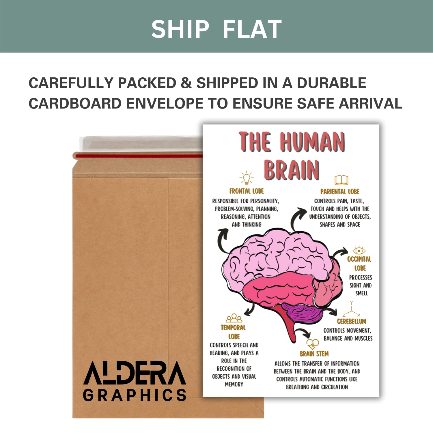 The Human Brain Poster, Mental Health Office Print, Therapy Decor Art ...