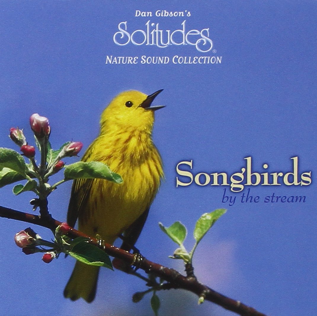 Amazon.com: Songbirds by the Stream