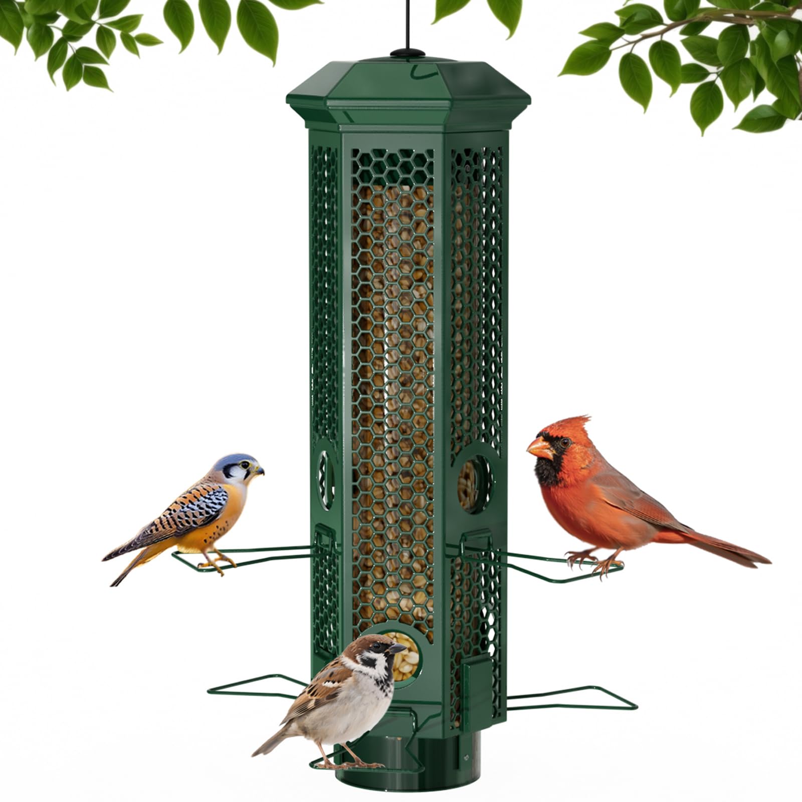 7 Best Crow Resistant Bird Feeders | Cage That Keeps Crows Out