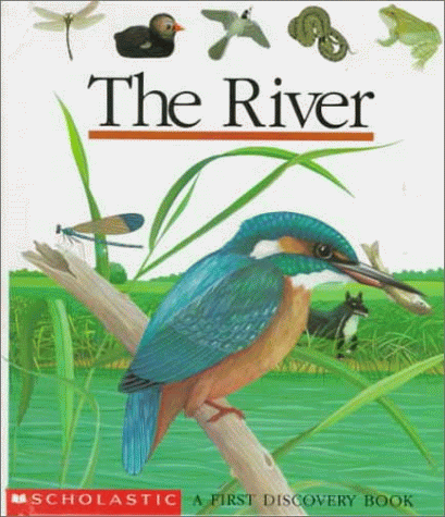 River, The First Discovery Books: Gallimard, Jeunesse: 9780590471282 ...
