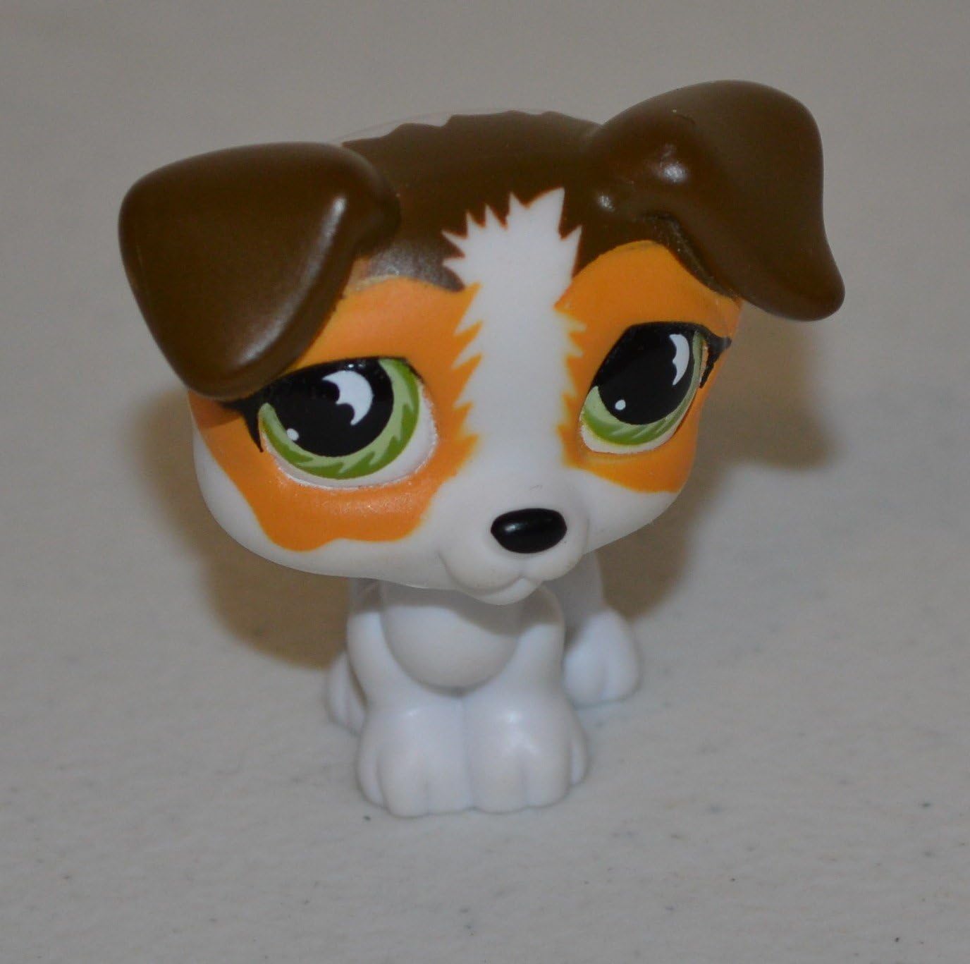 Amazon.com: Jack Russell #804 (White, Brown/tan Accents, Green Eyes ...
