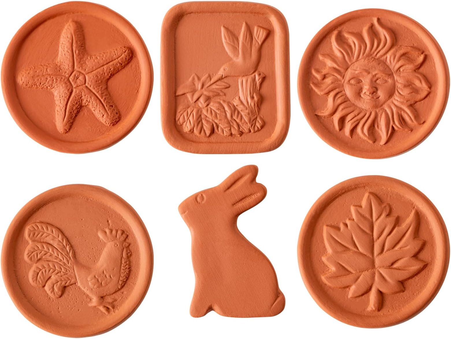 Amazon.com | dgudgu Brown Sugar Keeper Bee 4 Terra Cotta Brown Sugar ...