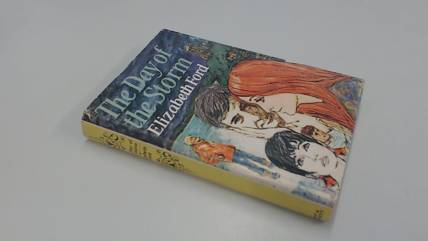 Day of the Storm: Elizabeth Ford: 9780091064808: Amazon.com: Books