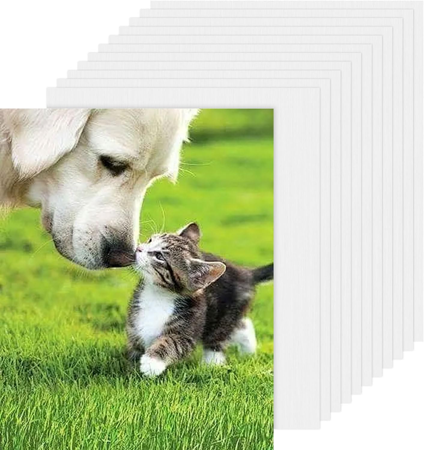 12PCS Aluminum Sublimation Photo Blanks 8x10 Inch Metal Sublimation ...