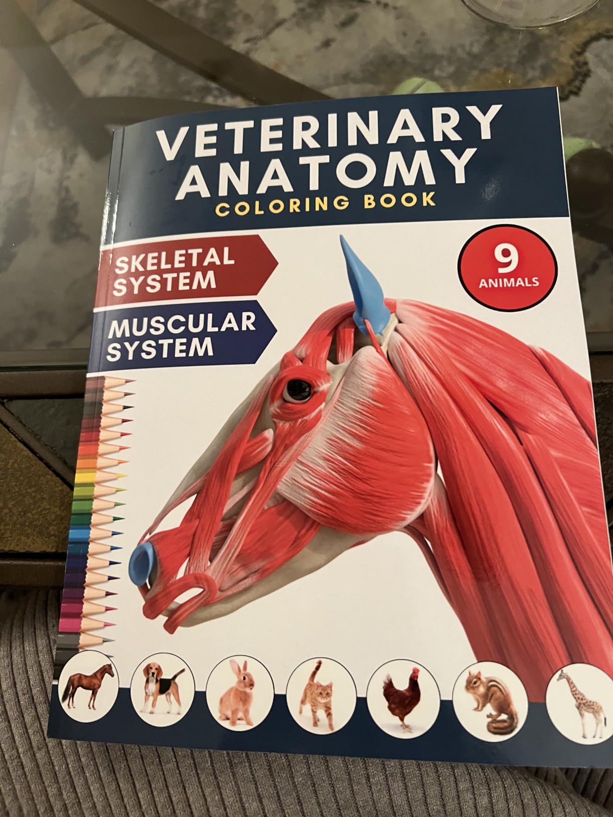 Amazon.com: Veterinary Anatomy Coloring Book: Incredibly Detailed 9 ...