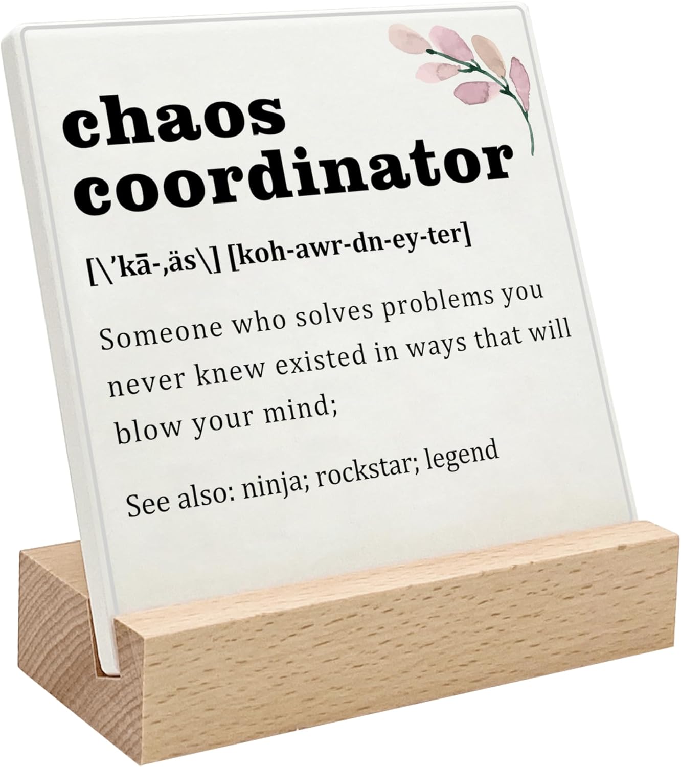 Amazon.com: Chaos Coordinator Desk Sign Chic Desk Decor Perfect Chaos ...