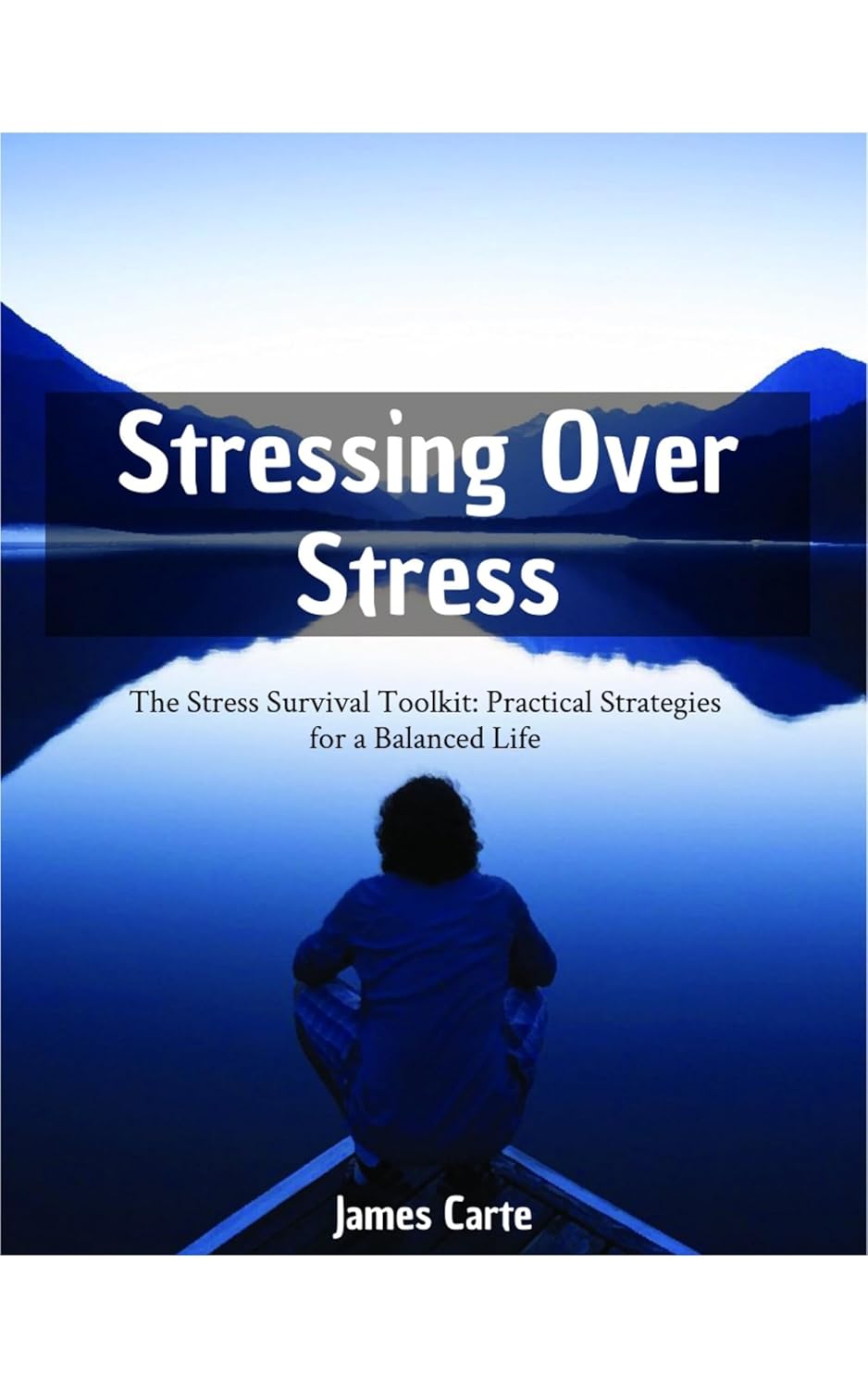 Stressing Over Stress: The Stress Survival Toolkit: Practical ...