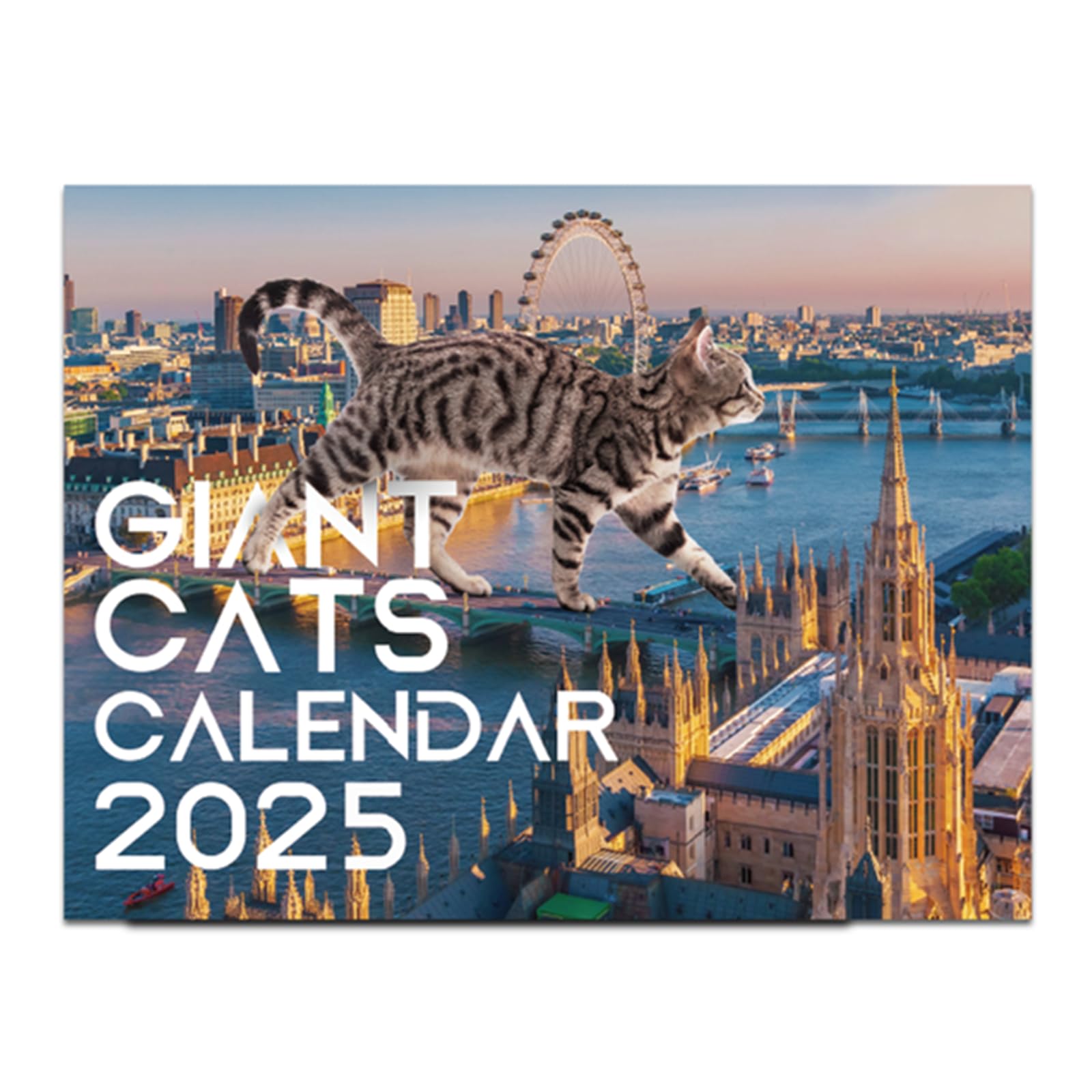 Giant Cats Calendar 2025, Giant City Cat Calendar 2025, Giant Cats ...