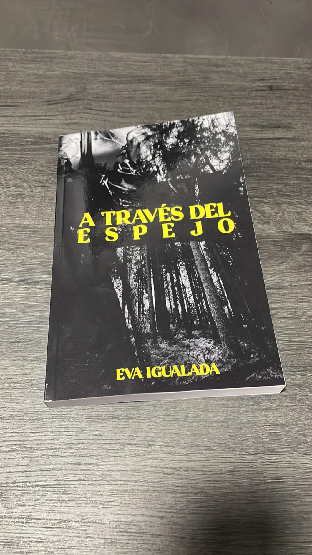 A través del Espejo : García, Sra. Eva Igualada: Amazon.es: Libros