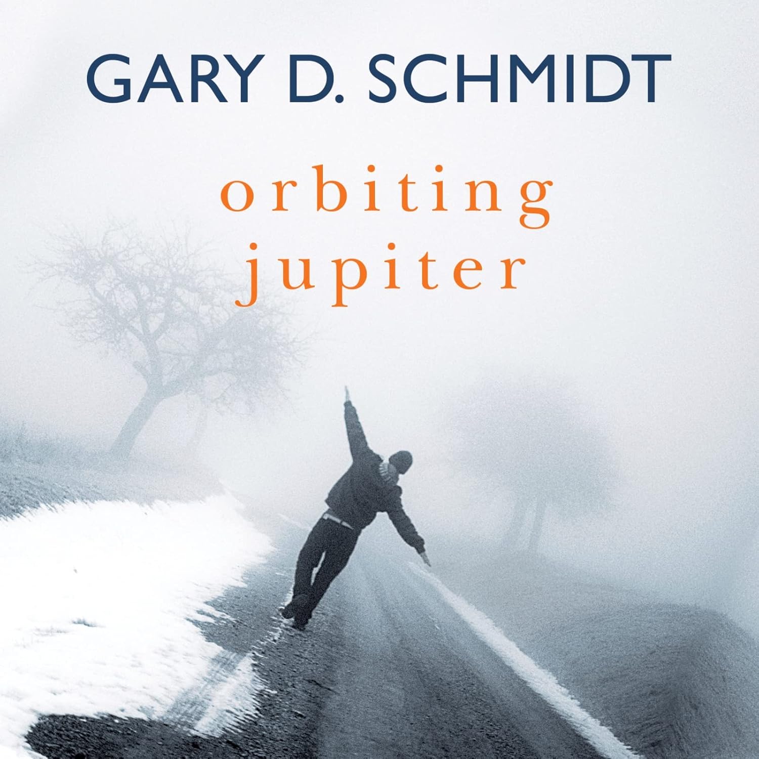 Amazon | Orbiting Jupiter | Schmidt, Gary D., Roe, Zachary | Children's ...