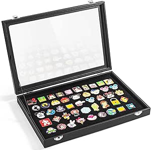 Amazon.com - Enamel Pin Display Case, Pin Collection Holder, 14" X 9 ...