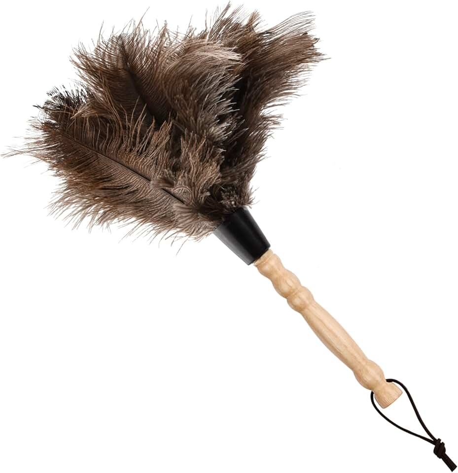 Amazon.fr : Plumeaux - Plumeaux / Produits Et Accessoires De Nettoyage ...