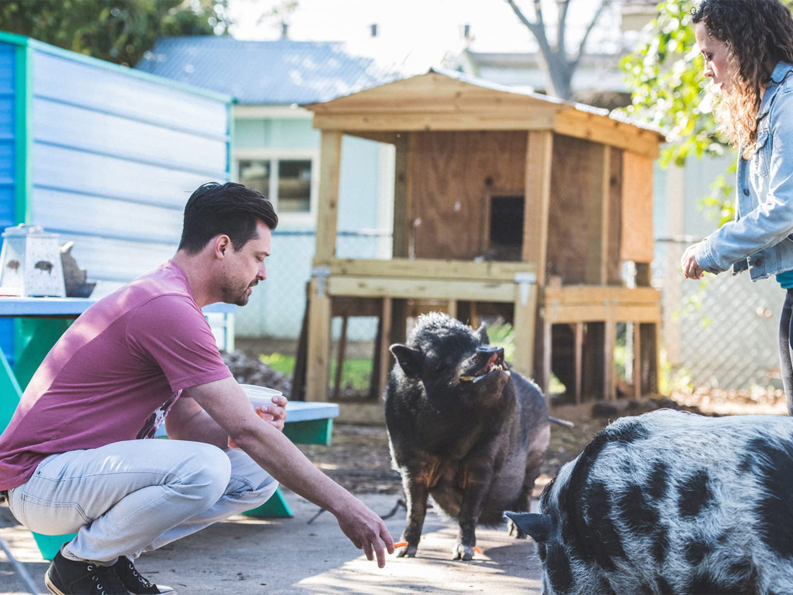 Watch That Animal Rescue Show Season 1 | Prime Video