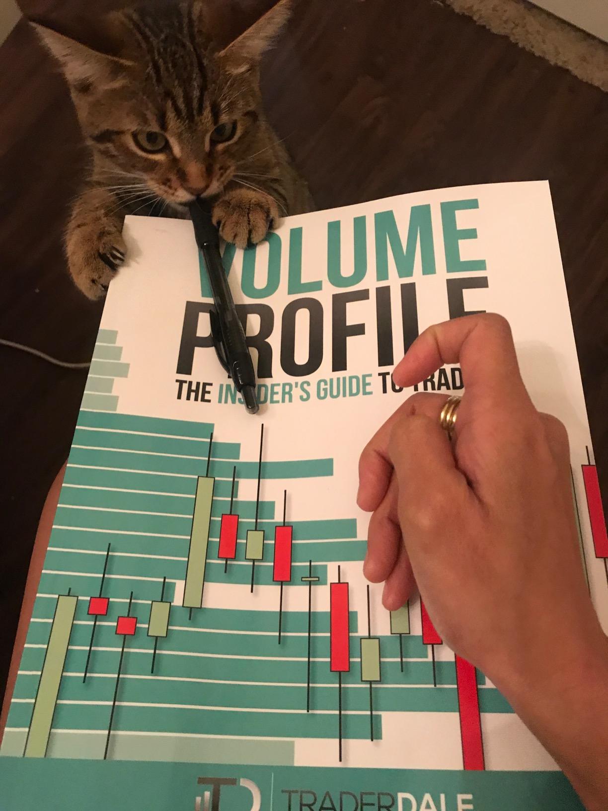 Amazon.com: VOLUME PROFILE: The Insider's Guide to Trading eBook : Dale ...