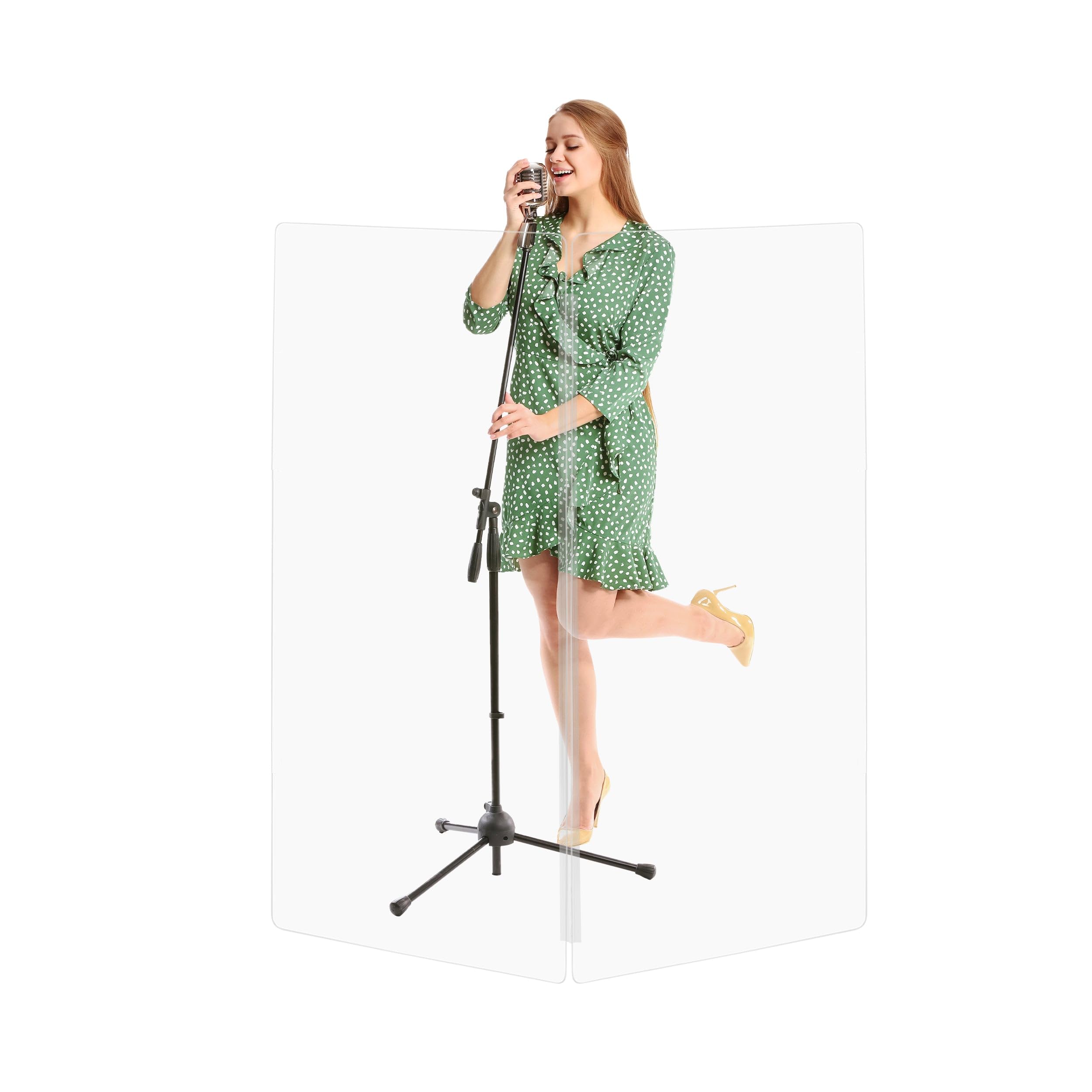 Snapklik.com : Singer Shield, Singer Shield Panels w/Chrome Hinges, 2 ...