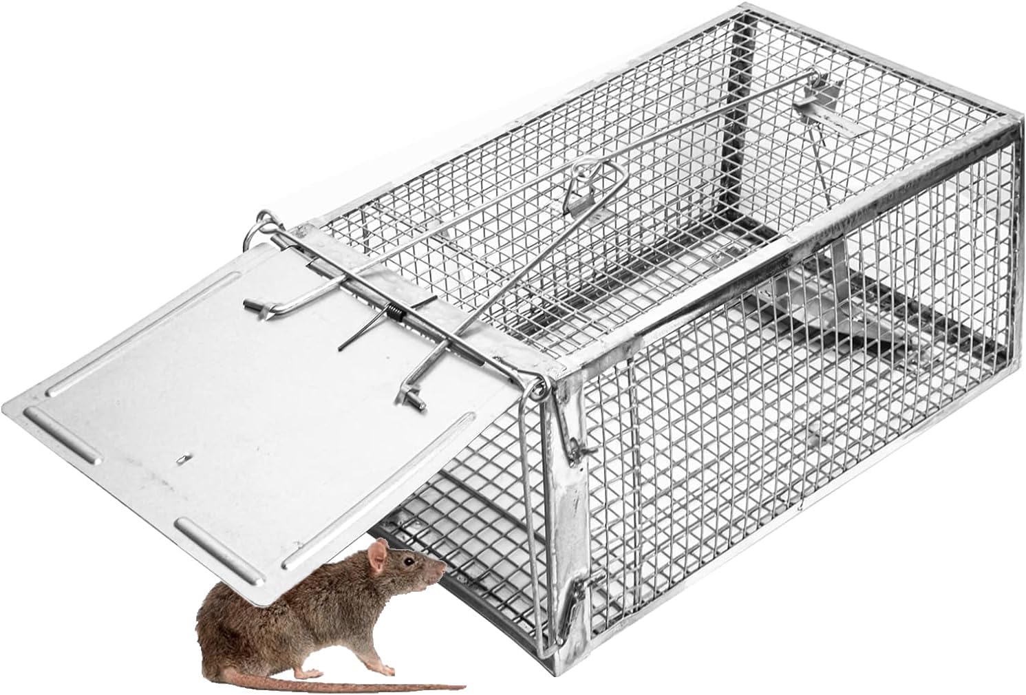 Amazon.com : 2 Pack Rat Trap Humane - Mouse Trap Indoor for Home ...