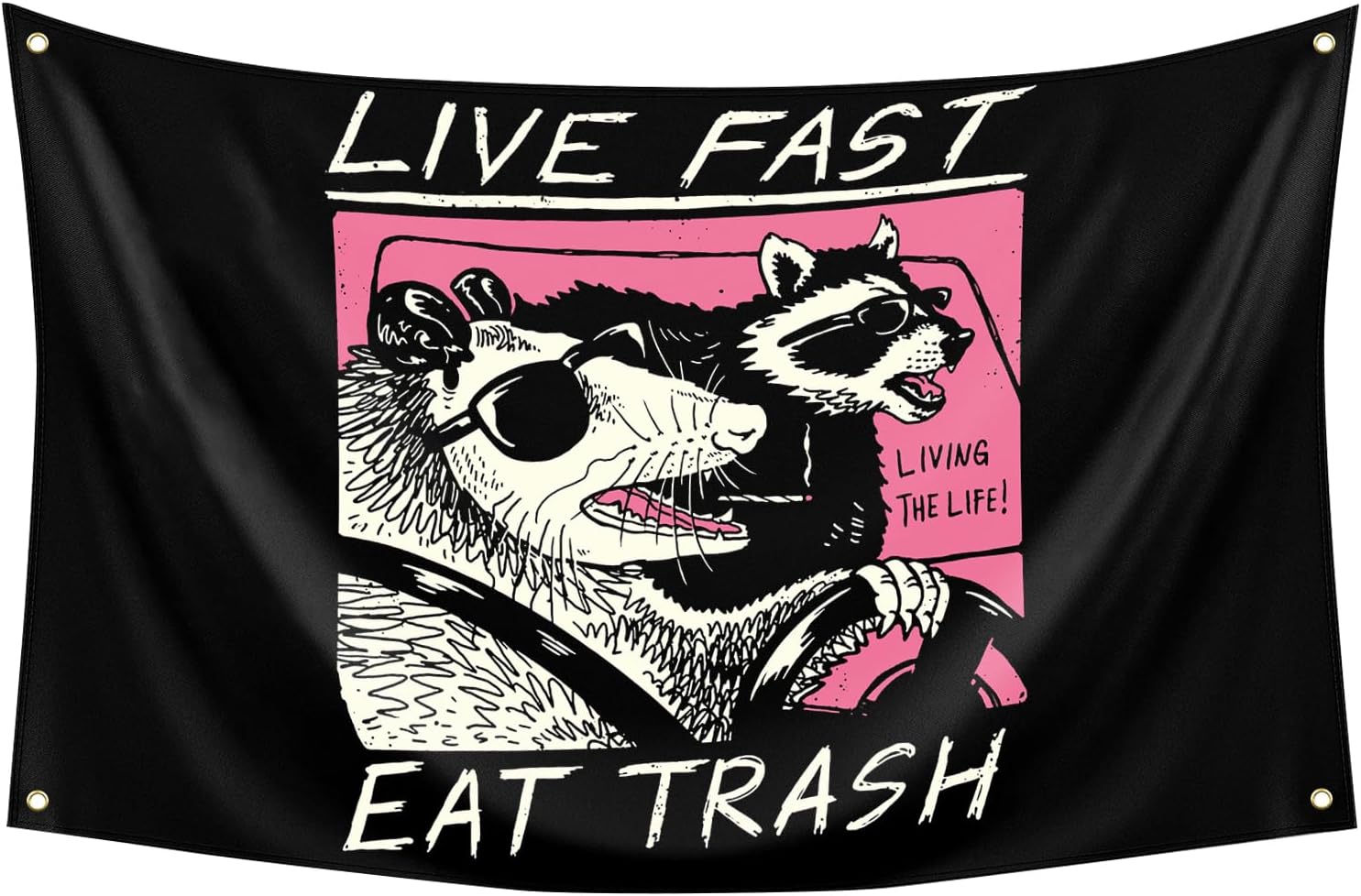 Amazon.com: Funny Flag 3x5 Feet for Bedroom Living Room Decor College ...