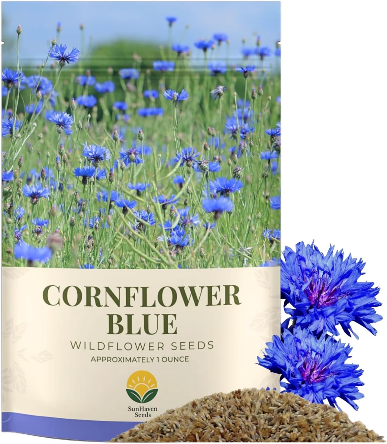 Amazon.com : SunHaven Seeds Bachelor Button Seeds – Blue Cornflower ...