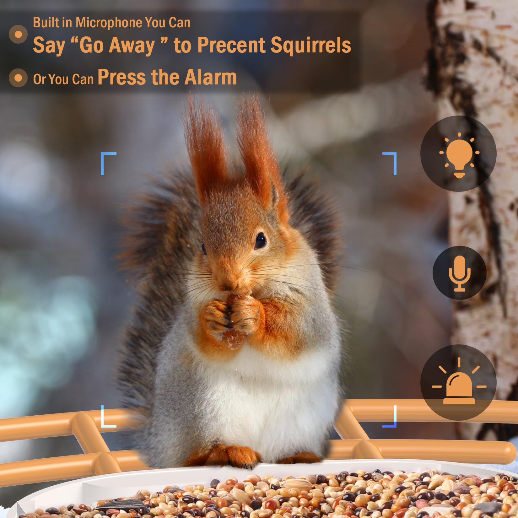 Snapklik.com : Smart Bird Feeder Camera Outside: Birdfeeder Watching ...