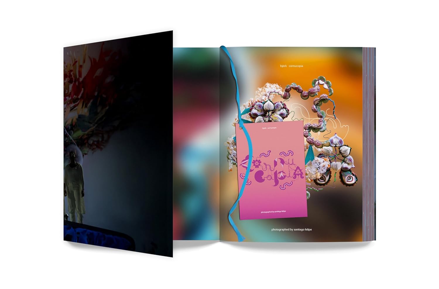 CORNUCOPIA : THE BOOK: BJÖRK: 9781739605674: Amazon.com: Books