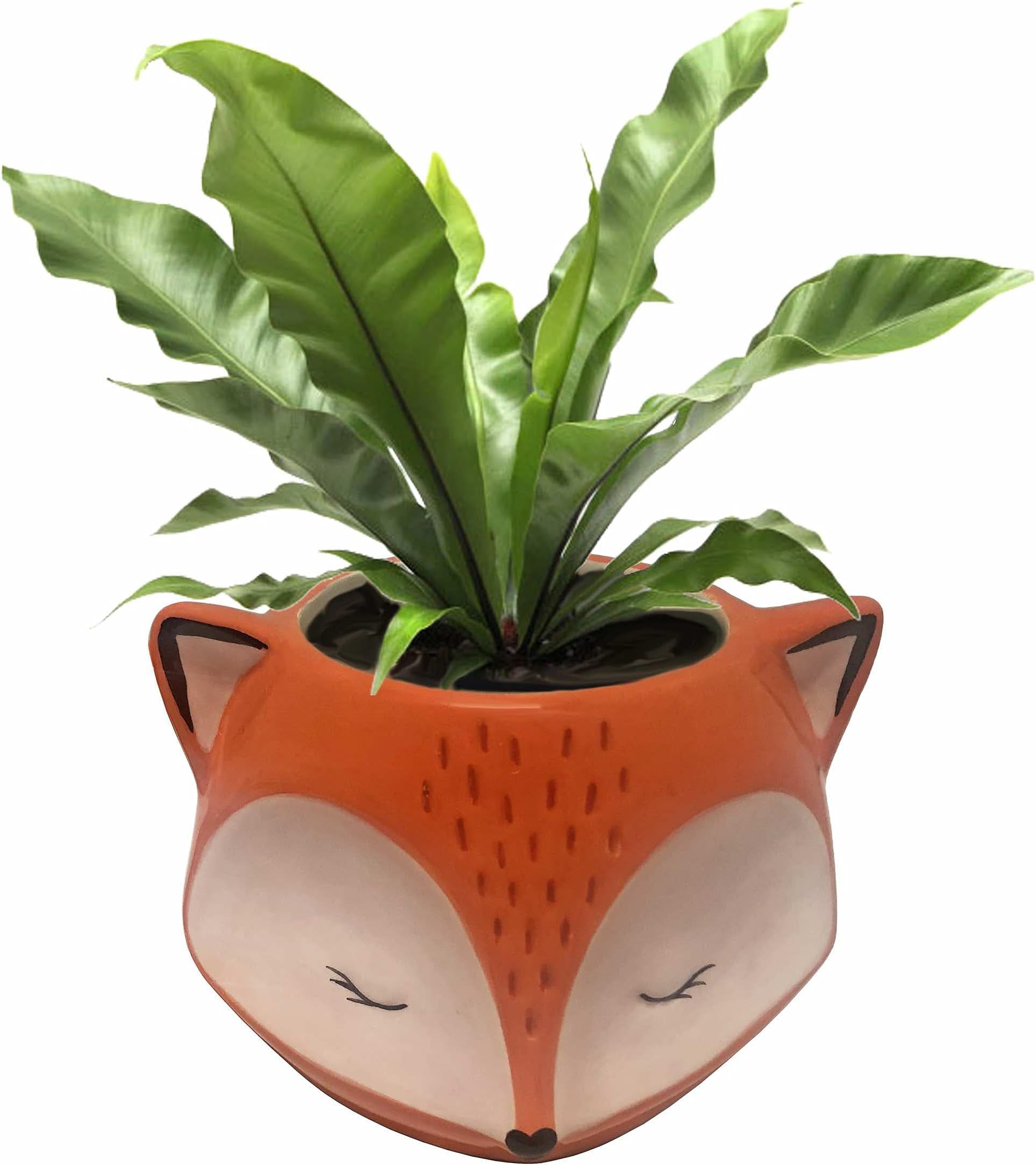Amazon.com : Streamline Imagined Ceramic Shark Flower Planter Pot ...
