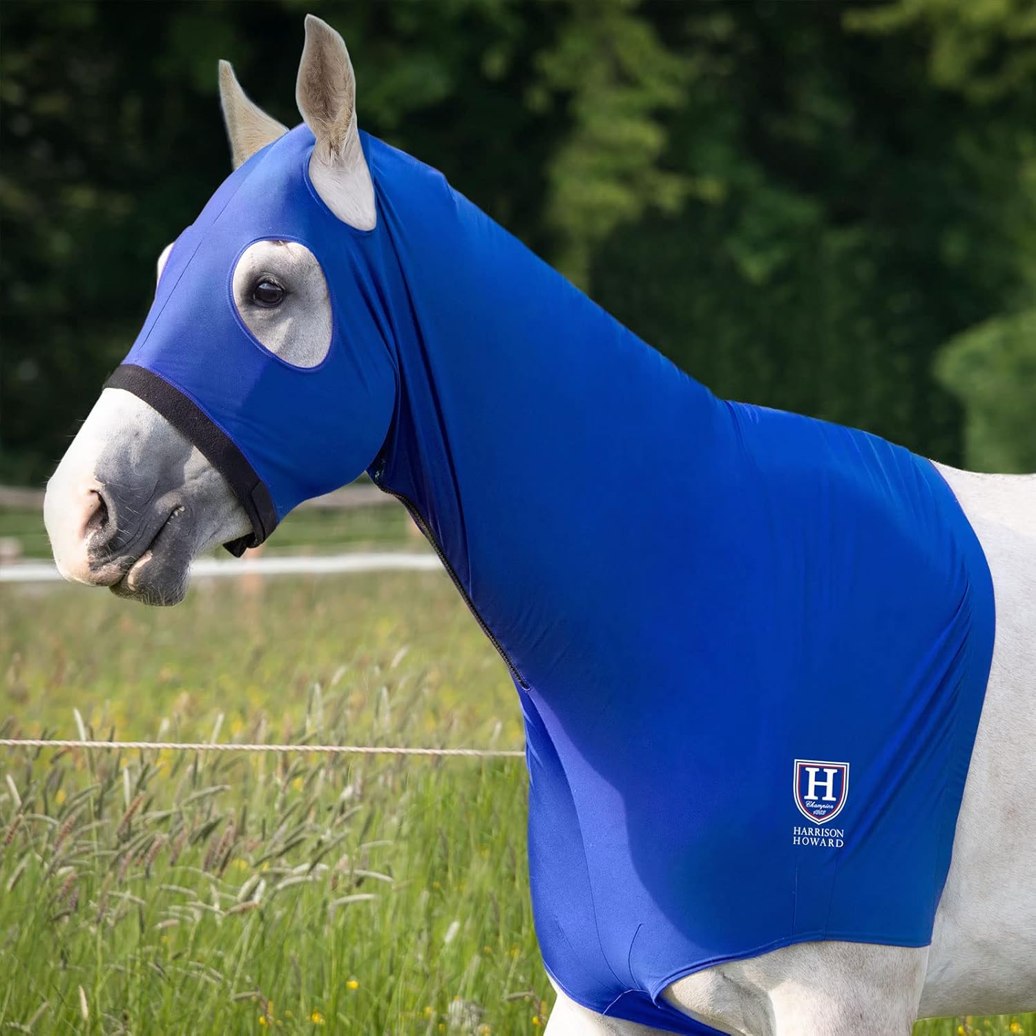 Amazon.com : Harrison Howard Horse Stretch Hood Without Ears Snug ...