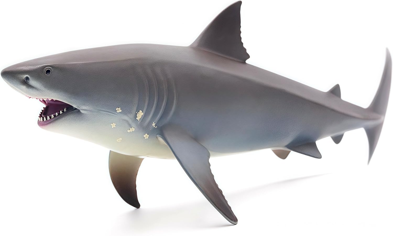 Amazon.com: Gemini&Genius Realistic Great White Shark Action Figure ...