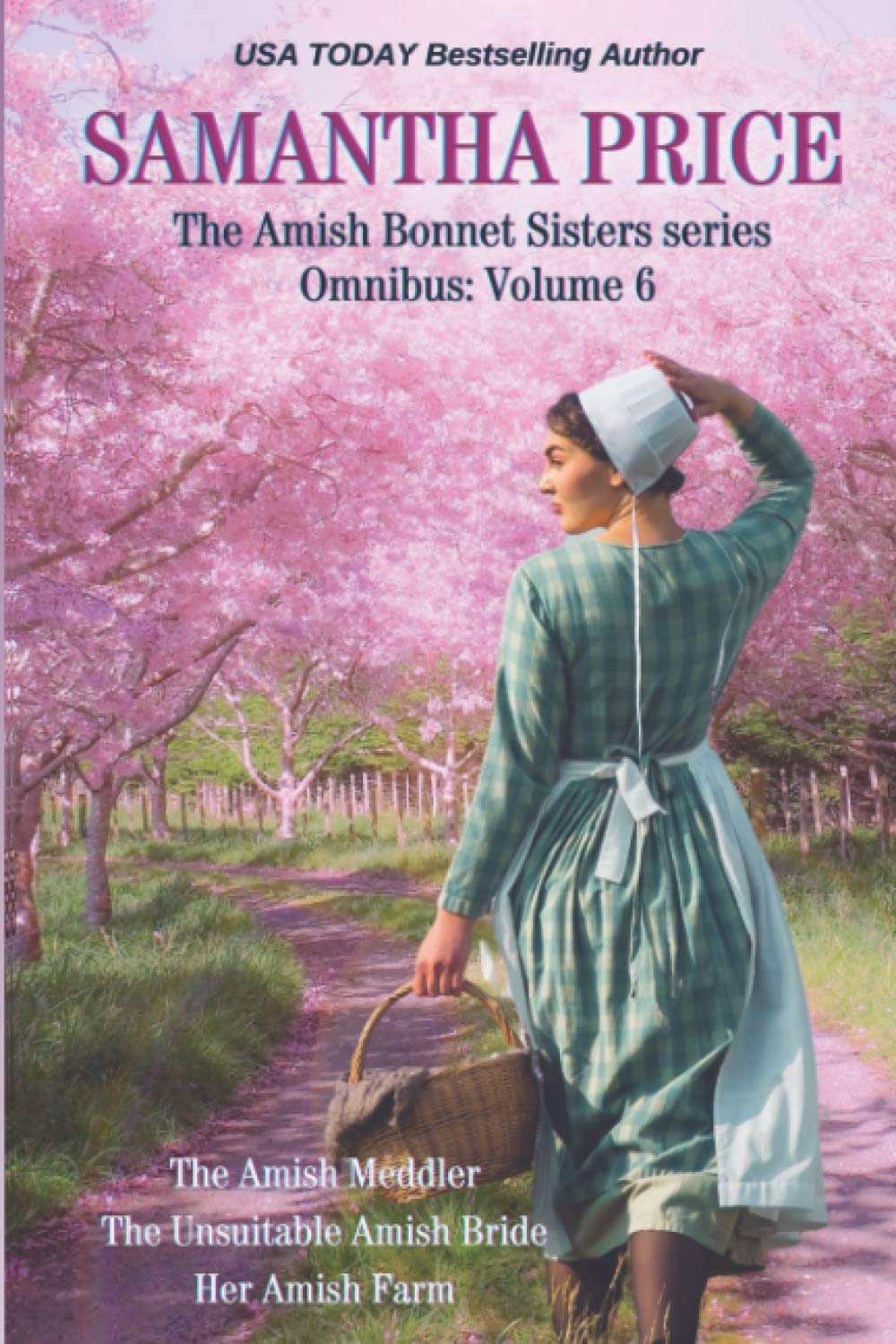 The Amish Bonnet Sisters series Omnibus: Volume 6: The Amish Meddler ...