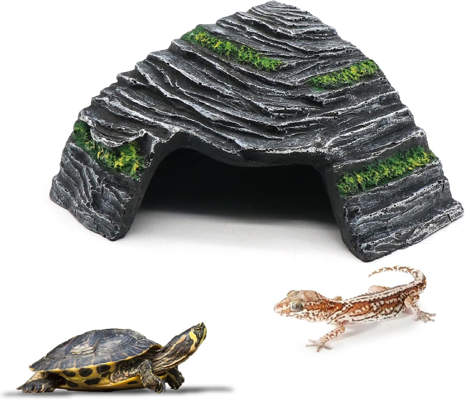 Amazon.com : Small Turtle Basking Platform Climbing Ramp Shale Scape ...