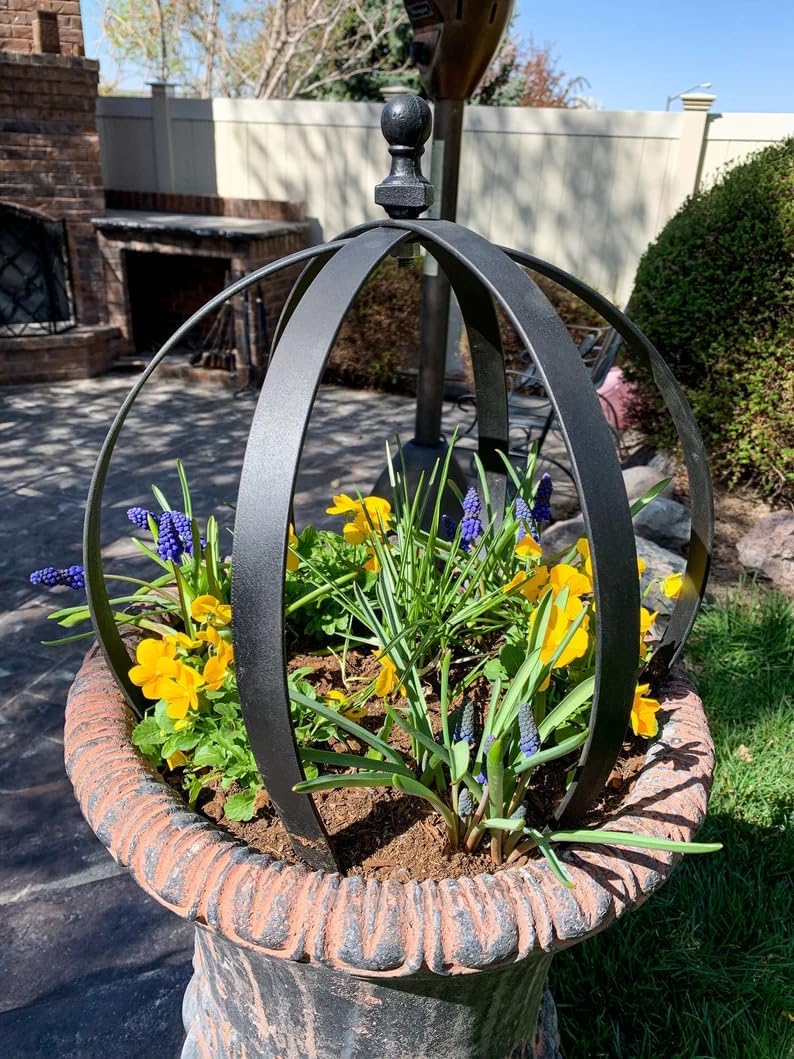 Round Trellis Structures How To Choose Trellises For Climbing Plants