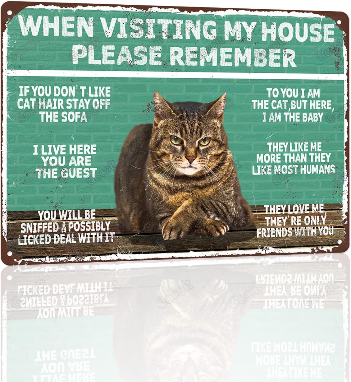 Amazon.com: When Visiting My House Please Remember Vintage Cat Metal ...