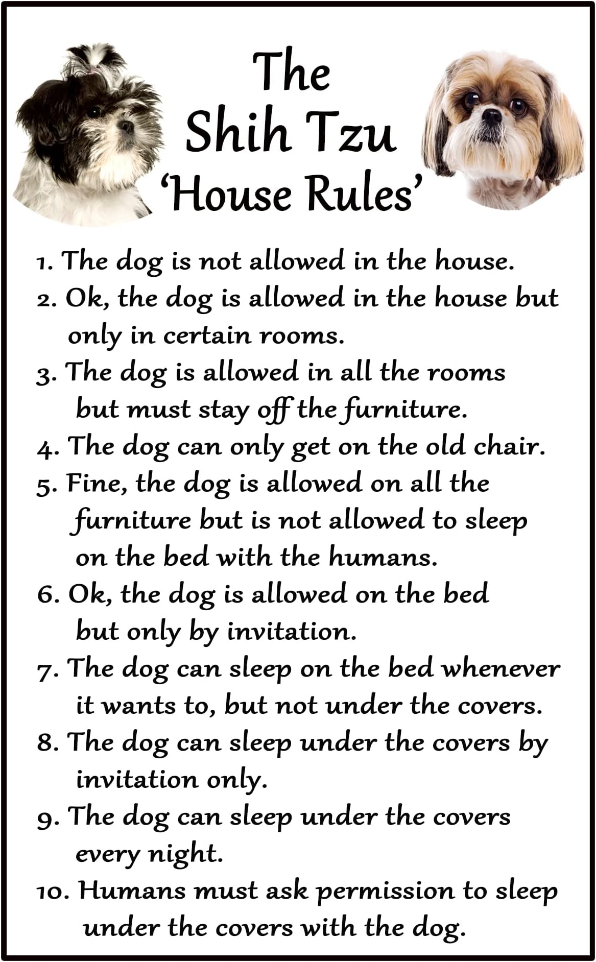 Shih Tzu Gift - House Rules - Large Fun flexible Fridge Magnet- size ...