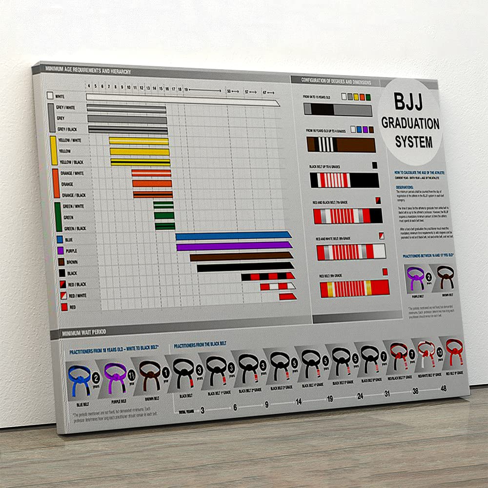 Buy BJJ Graduation System Knowledge Canvas Wall Art, BJJ Graduation ...